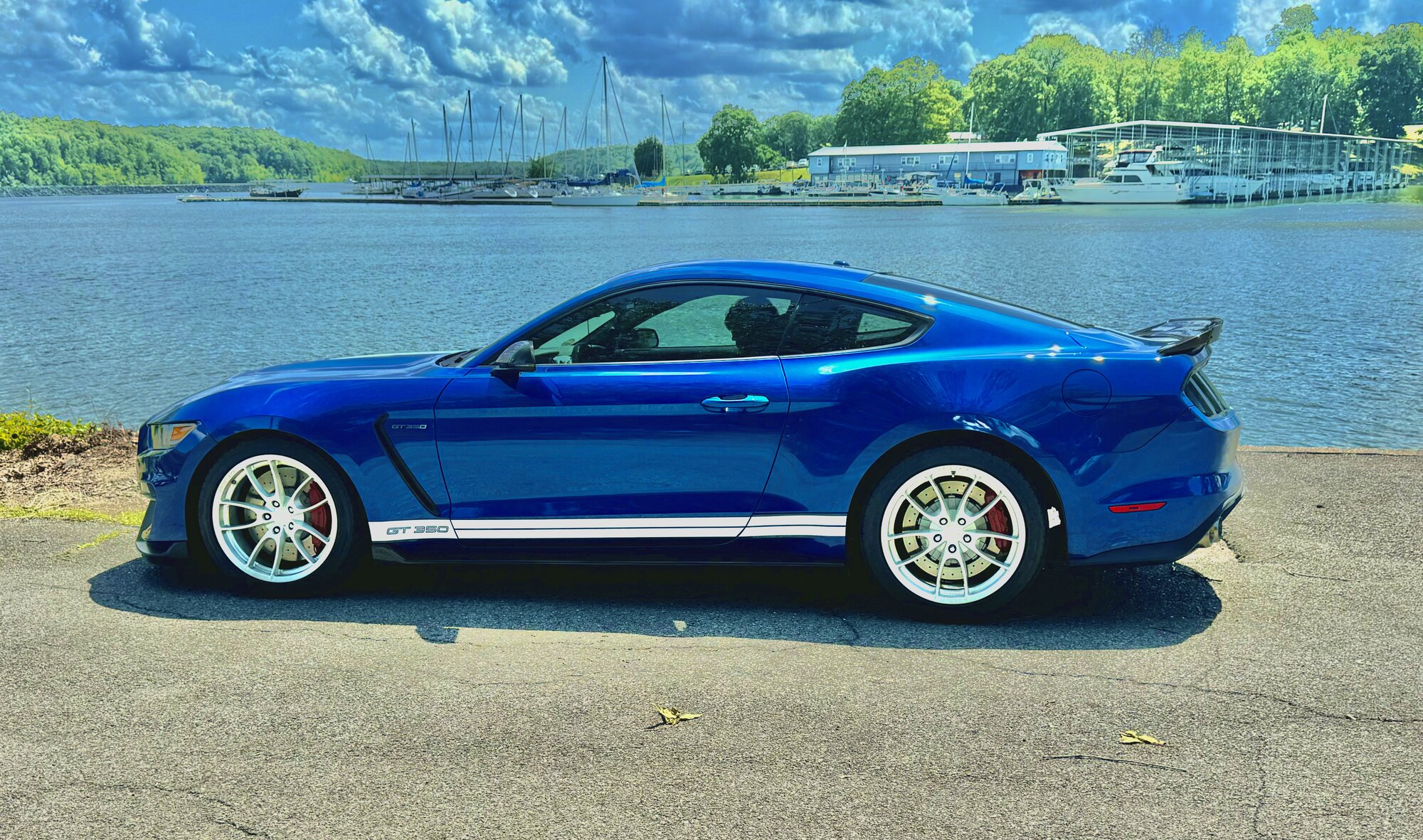 2017 Ford Mustang GT350 Vehicle Profile & Build Thread - | Track Mustangs