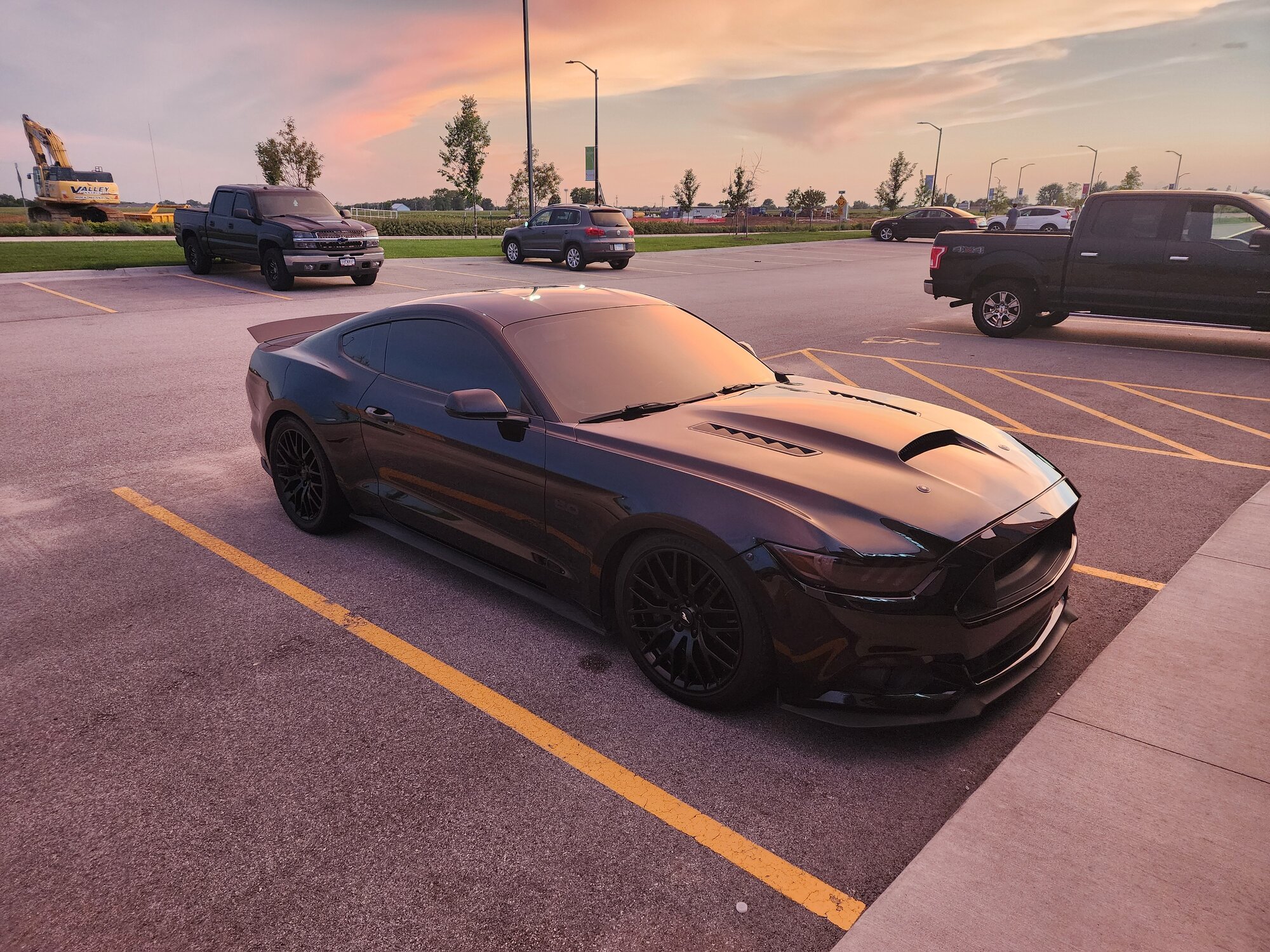 2017 Ford Mustang GT Vehicle Profile & Build Thread - | Track Mustangs