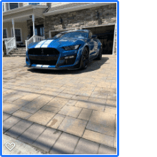 2020 Ford Mustang GT500 Vehicle Profile & Build Thread - | Track Mustangs