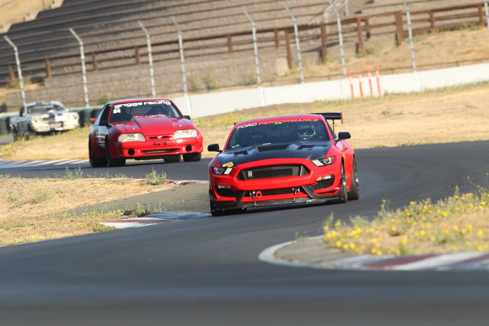 2019 GT350 and GT350R Track Alignment settings | Track Mustangs