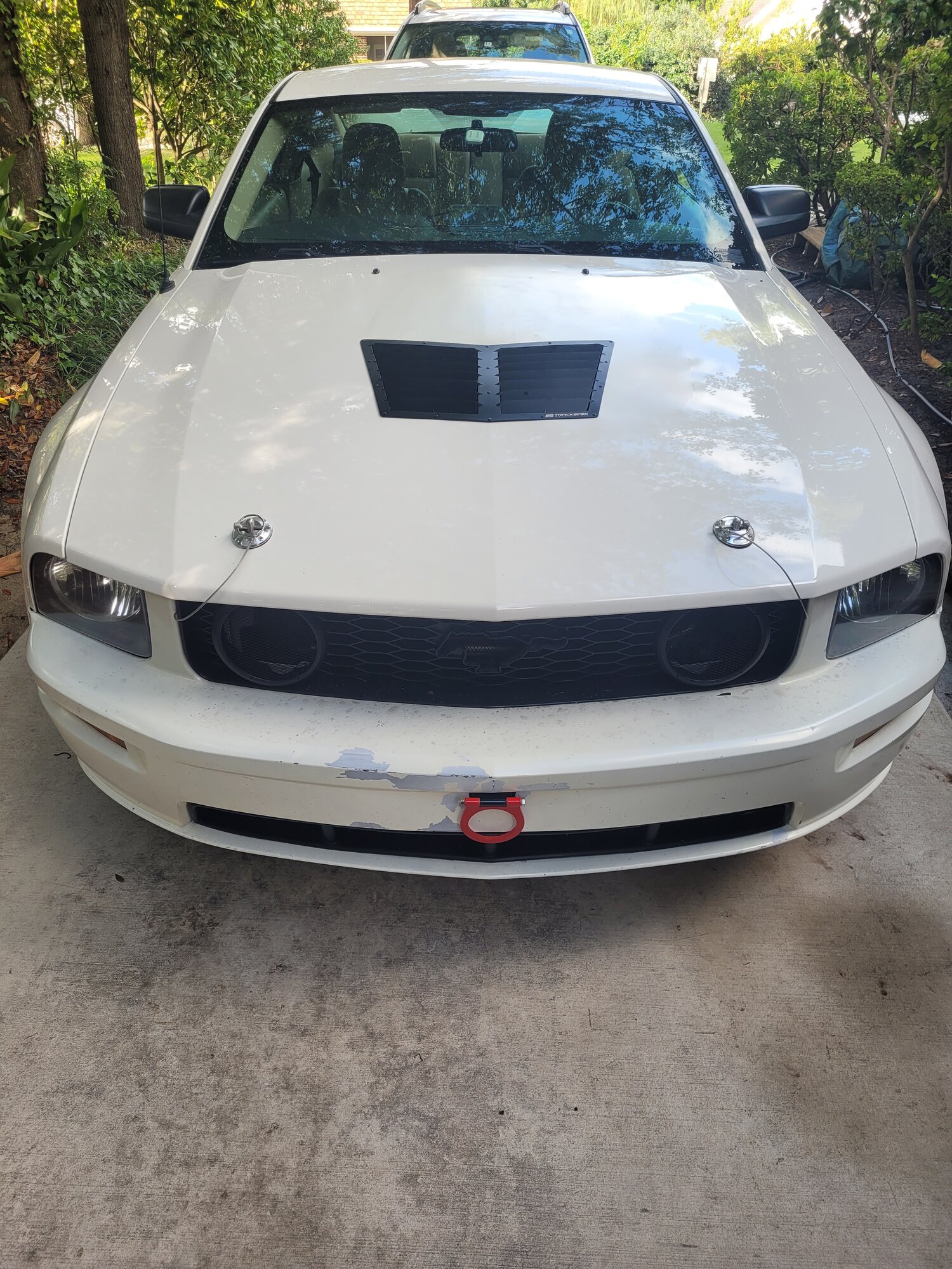2009 Ford Mustang GT 4.6L Vehicle Profile & Build Thread - | Track Mustangs